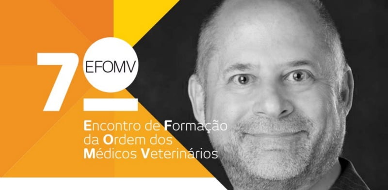 O que precisa fazer para desenvolver e manter colaboradores nota 20 ...