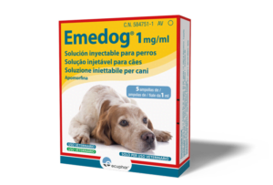 Ecuphar lança apomorfina injetável registada para o mercado veterinário ...