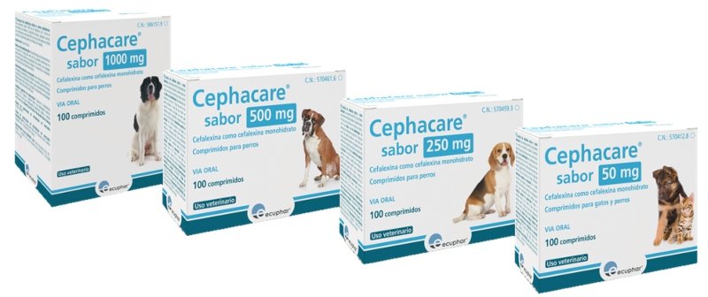 Ecuphar reforça gama Cephacare