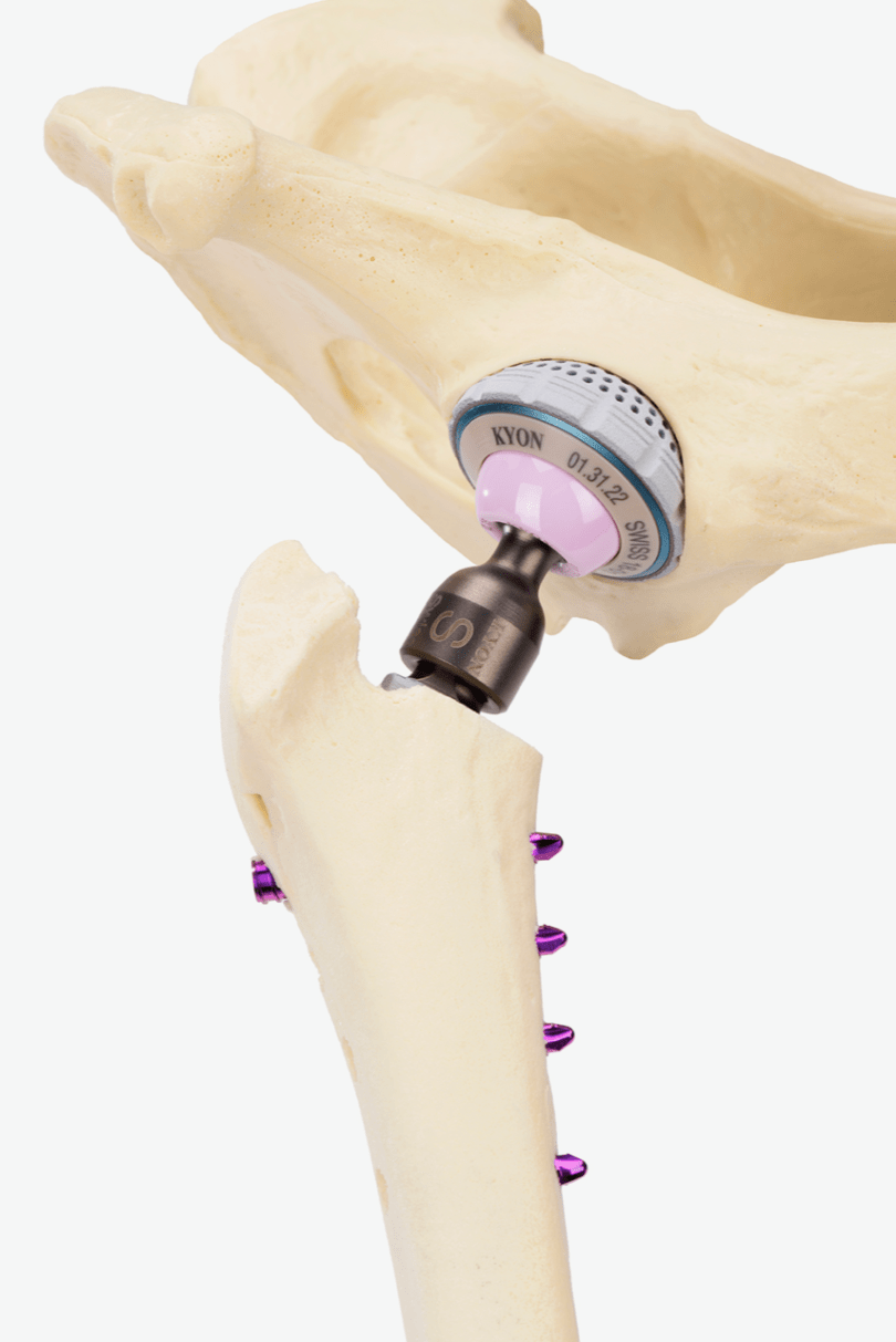 A resolução definitiva para a displasia da anca - Veterinaria Atual