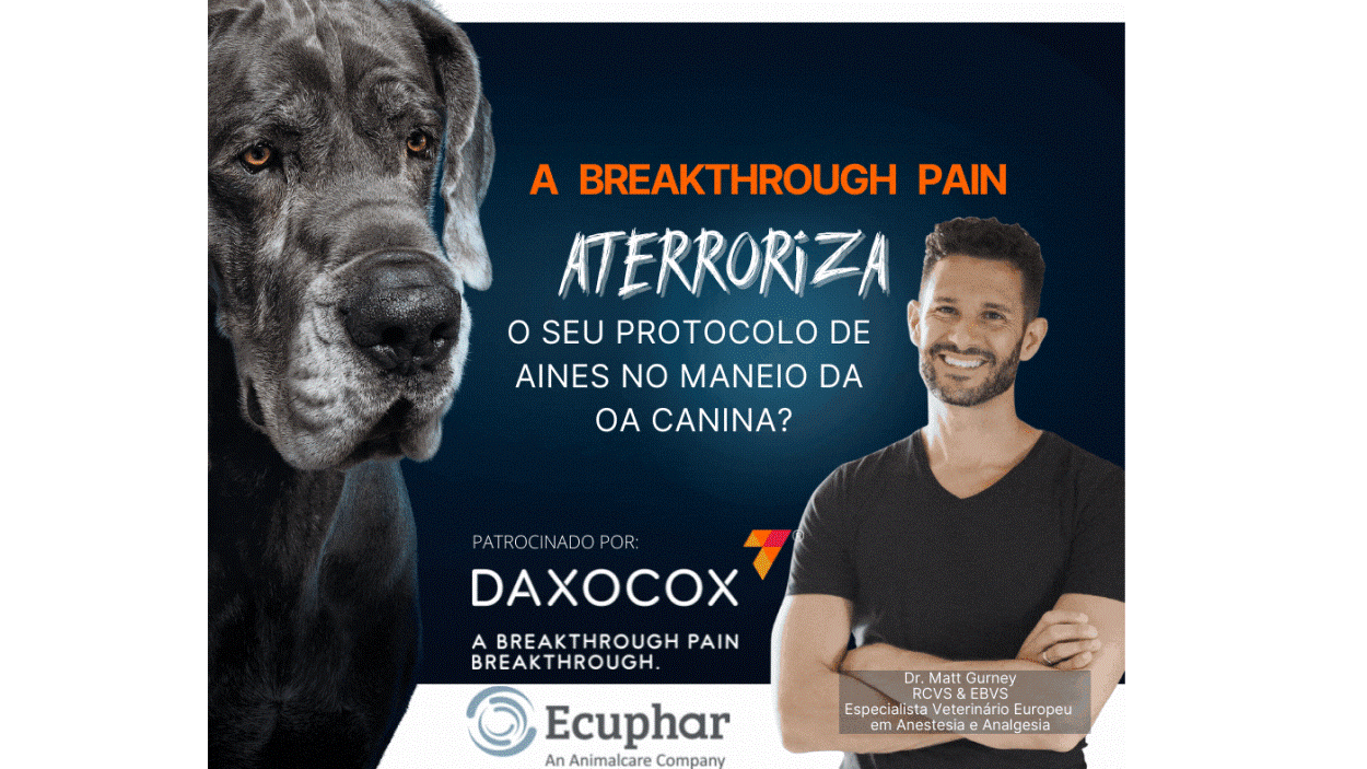 Ecuphar disponibiliza seminário ‘online’ sobre ‘Breakthrough Pain’