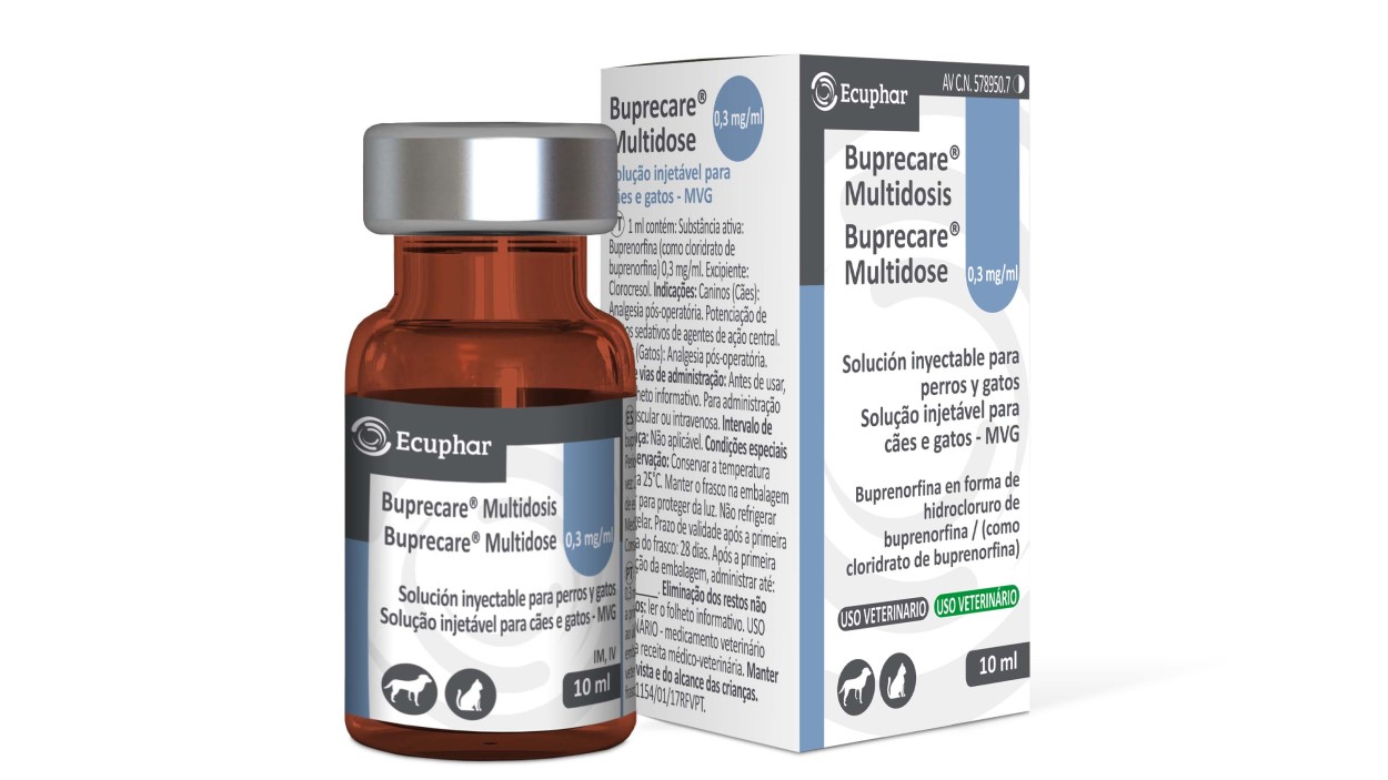 Buprecare volta a ser disponibilizado em Portugal - Veterinaria Atual