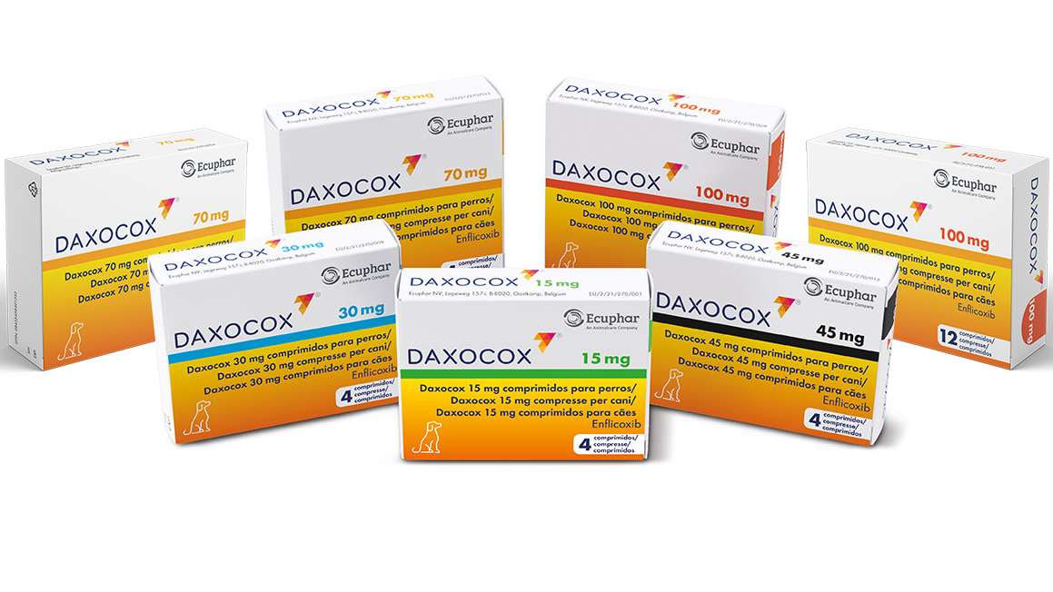 Daxocox está agora disponível em caixas hospitalares - Veterinaria Atual