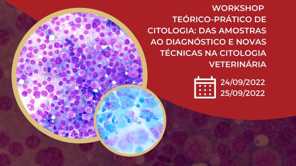 EUVG Academia organiza workshop sobre citologia