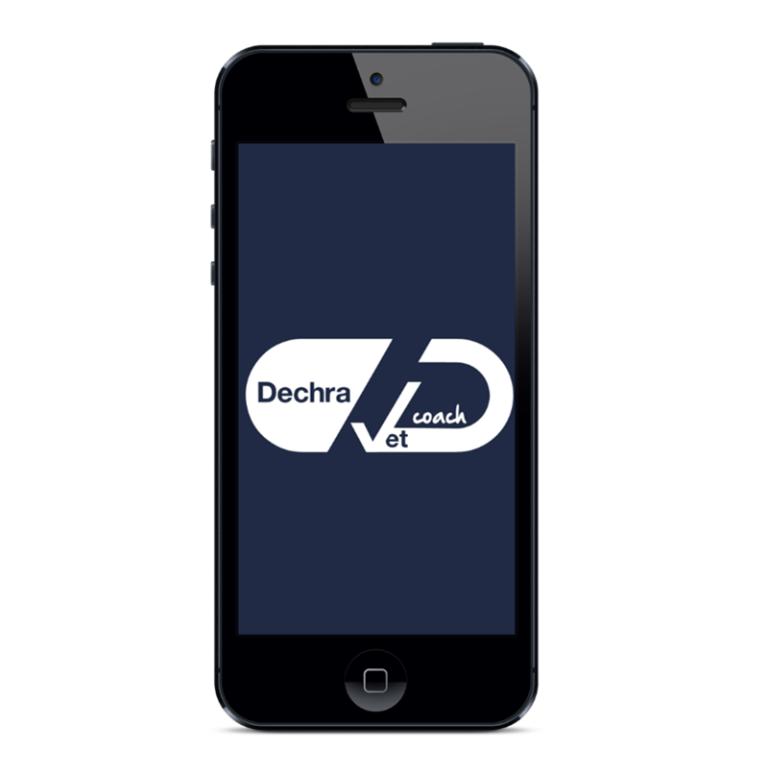 Dechra Vet Coach é a nova aplicação de apoio veterinário - Veterinaria ...