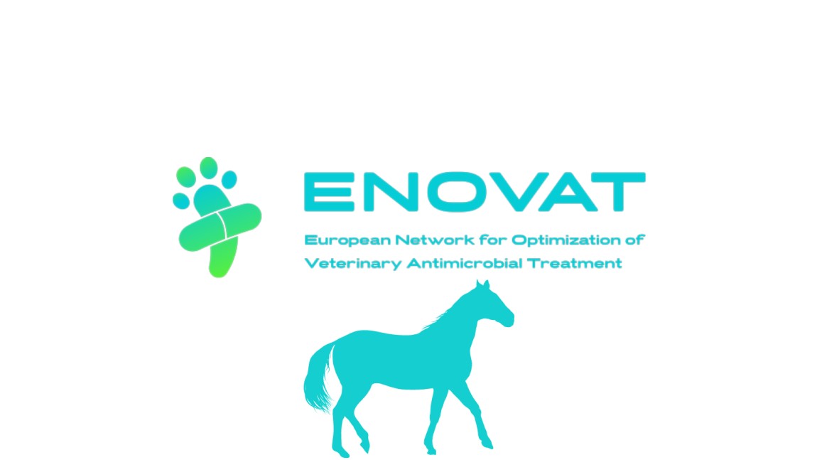 Projeto ENOVAT está a promover inquérito sobre guidelines de uso de ...