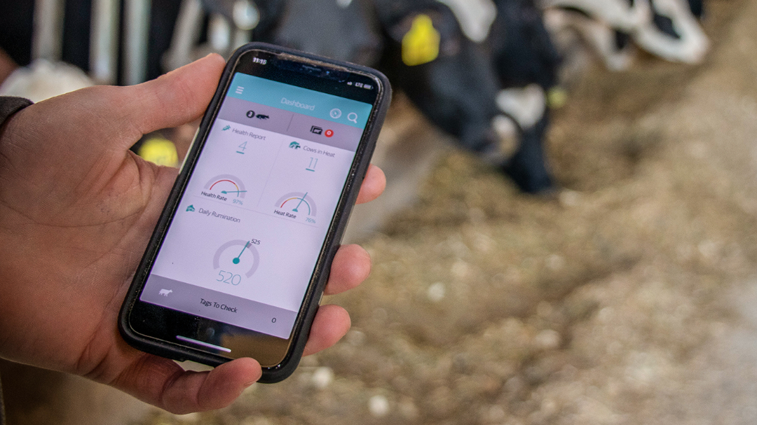 MSD Animal Health apresenta próxima geração do SenseHub Dairy