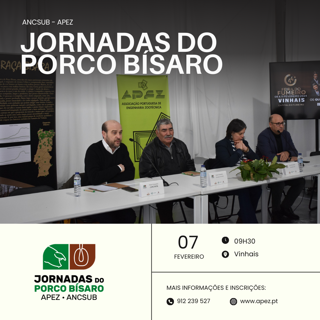 Jornadas do Porco Bísaro acontecem em fevereiro do próximo ano ...